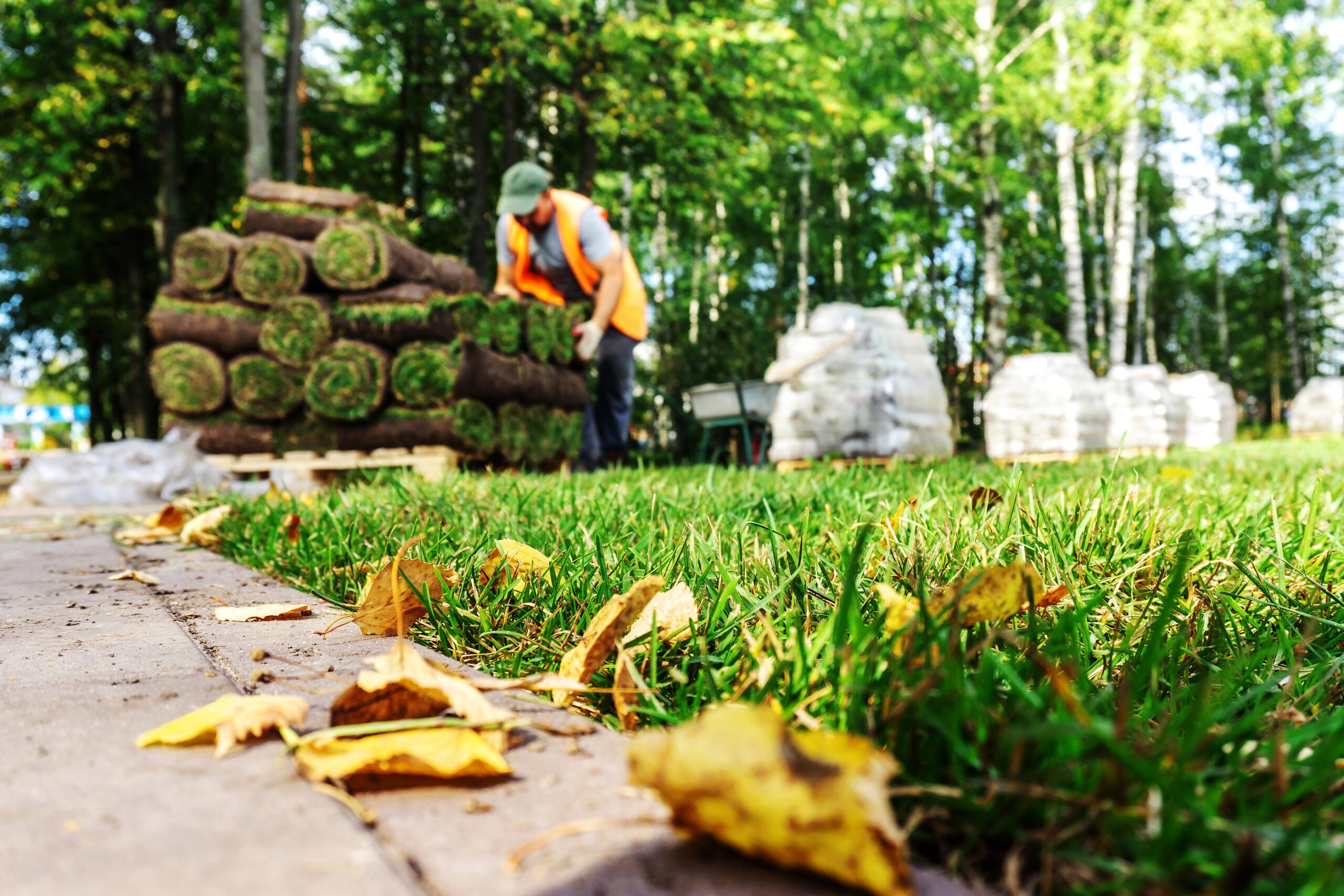 9 Common Landscaping Insurance Claims & How to Prevent Them